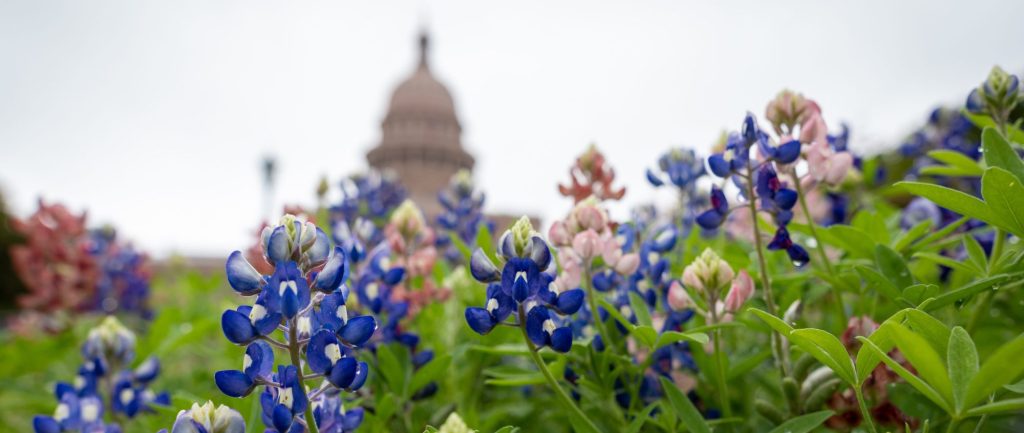 Texas Housers Project Archive - Texas Housers